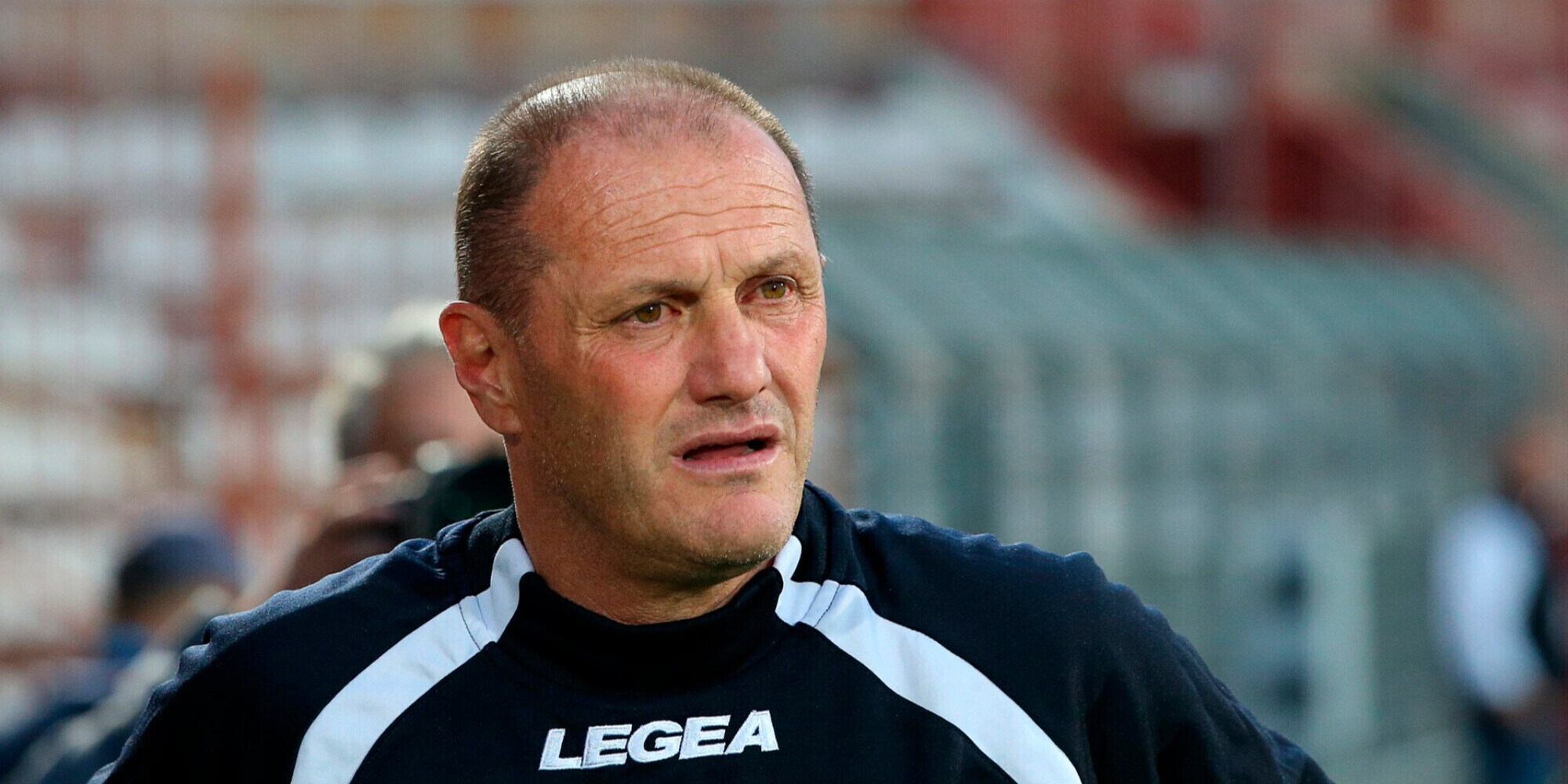 Cosenza, Bisoli non sarà l'allenatore la prossima stagione