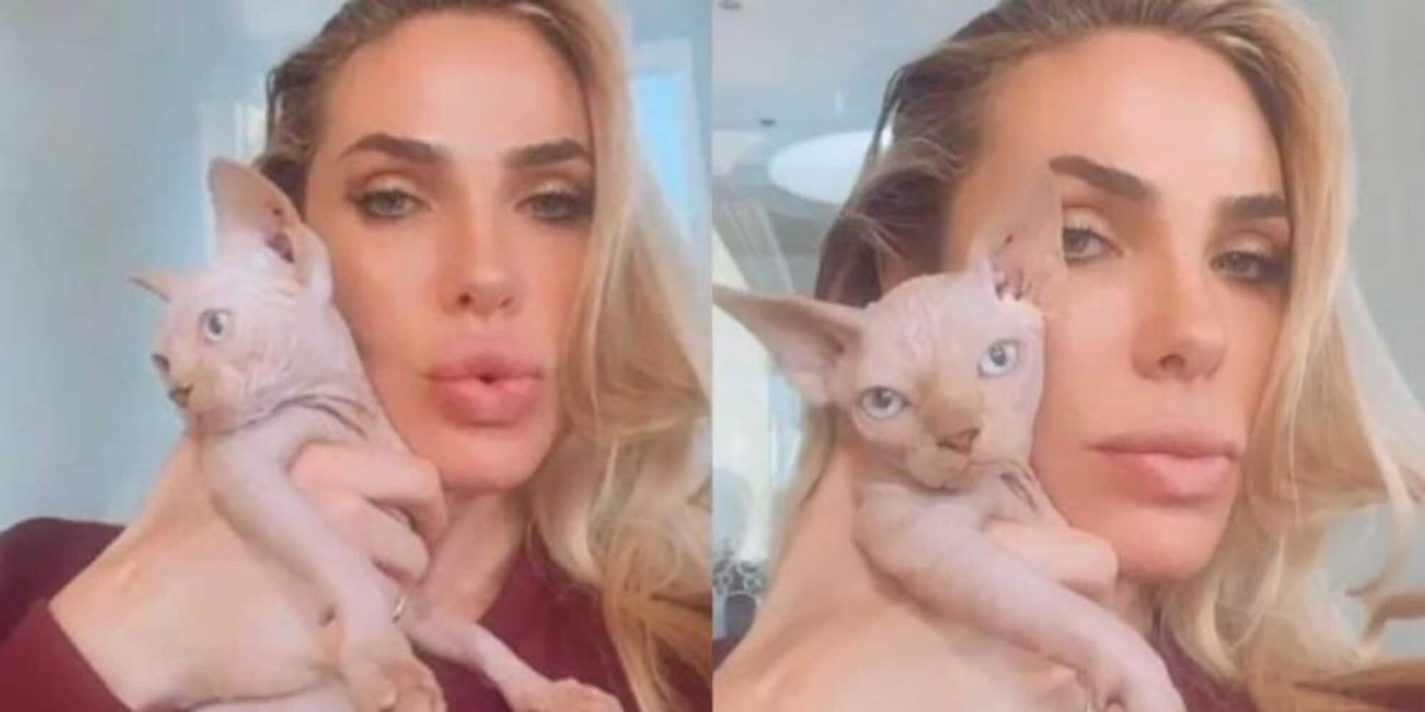 Totti, Ilary e il gatto Alfio scomparso: la paura, poi la gioia