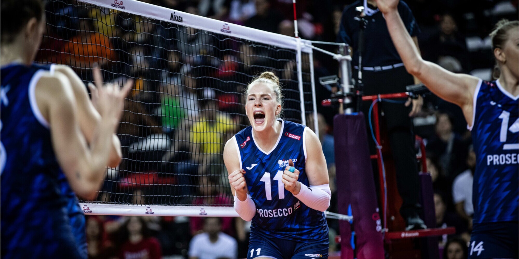 Haak, la più bella del reame