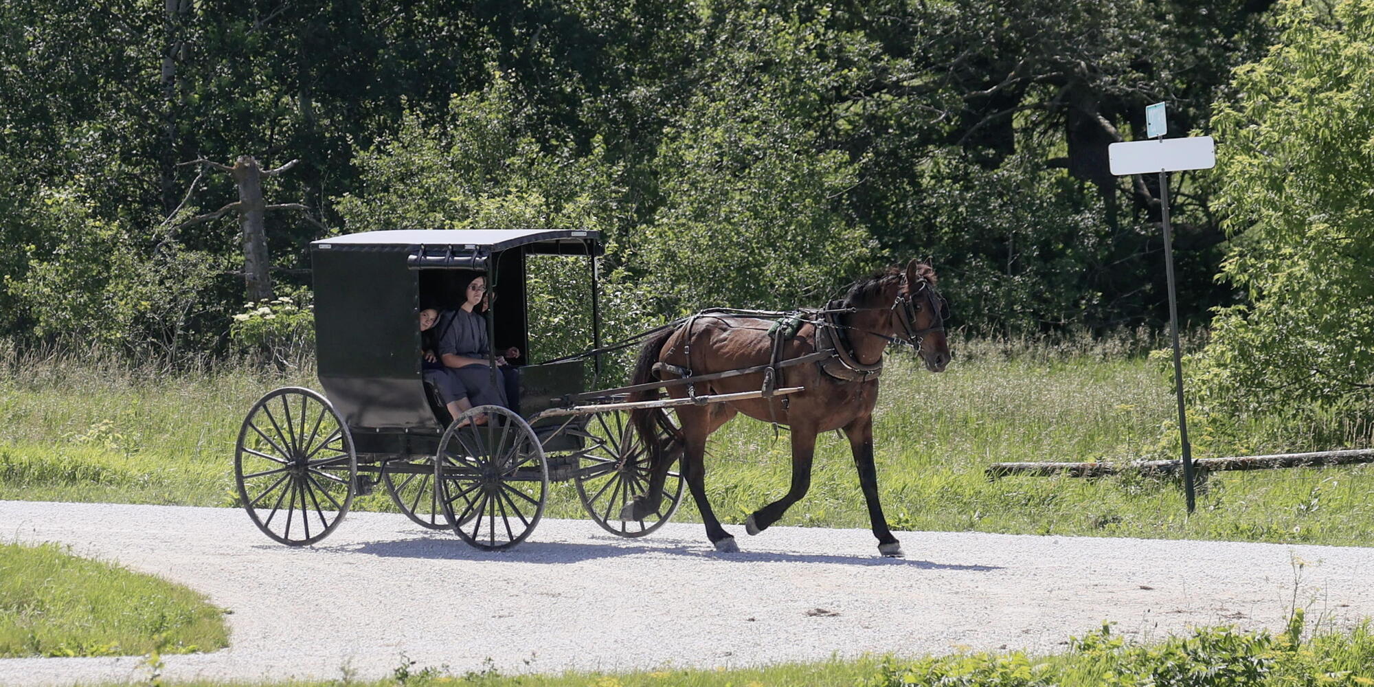 Paura nella comunità amish negli Usa, uccisa una donna incinta