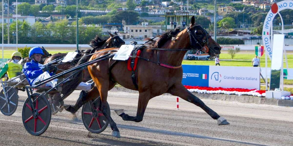 Trotto, l’italiano Free Time Jepson al commando provvisorio dal ranking ...